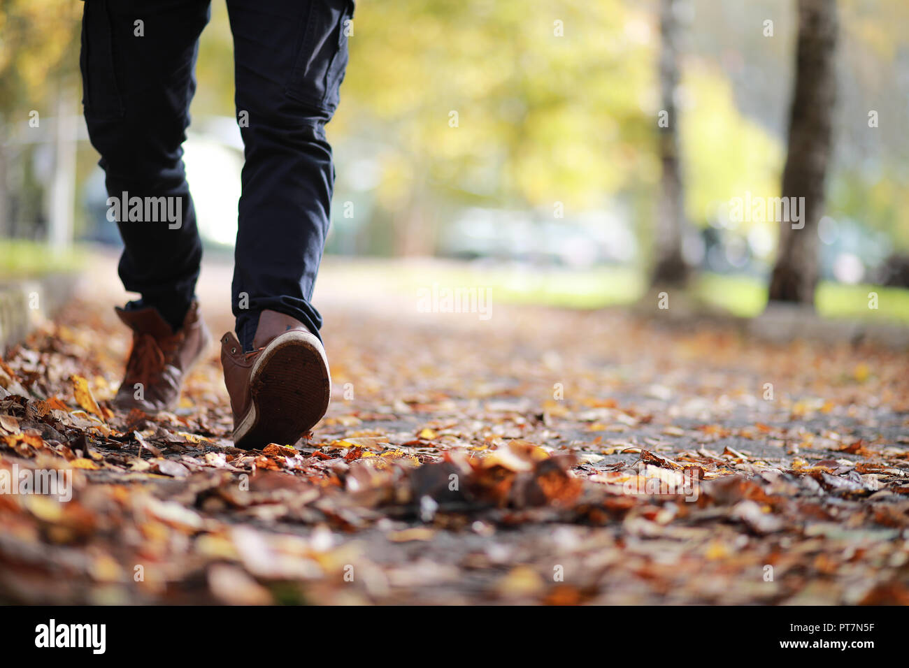 Autumn Park man walking along a path foliage Stock Photo - Alamy