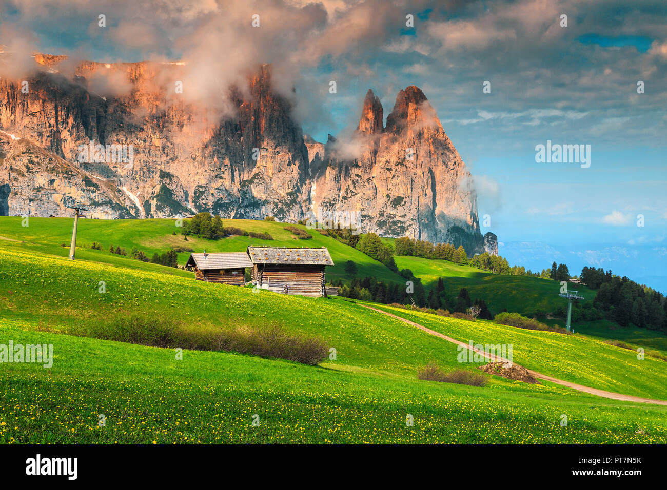 Mountain path flowers sunrise hi-res stock photography and images - Alamy