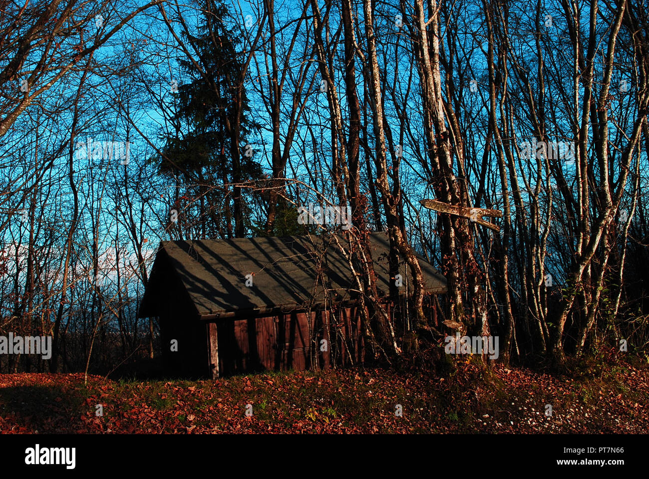 a hut in the autumn forest Stock Photo - Alamy