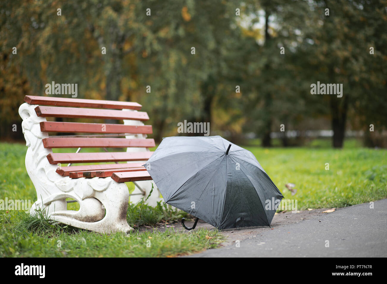 Autumn background in the park Stock Photo - Alamy