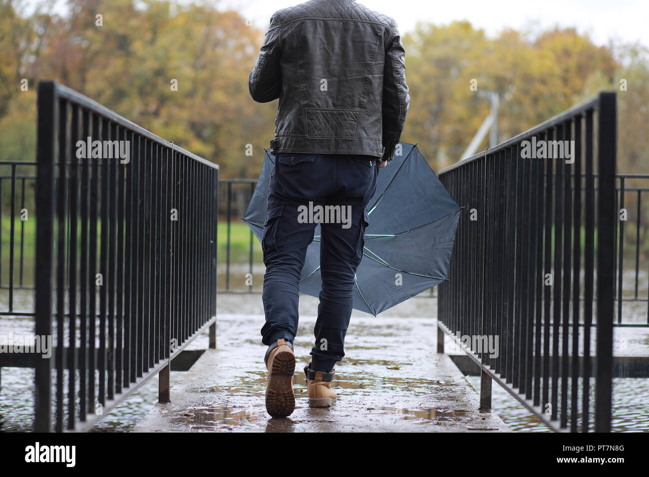 Autumn background in the park Stock Photo - Alamy