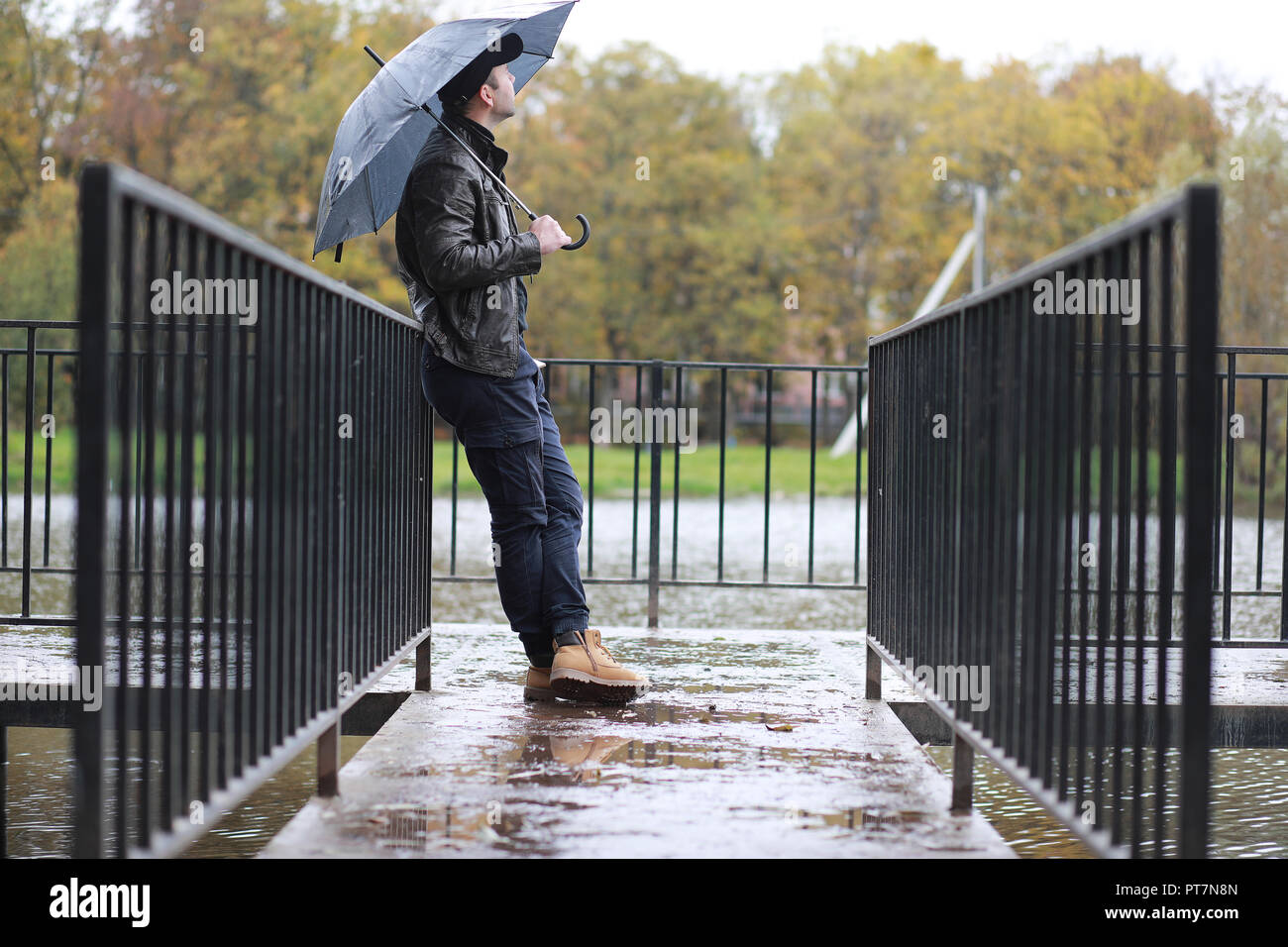 Autumn background in the park Stock Photo - Alamy