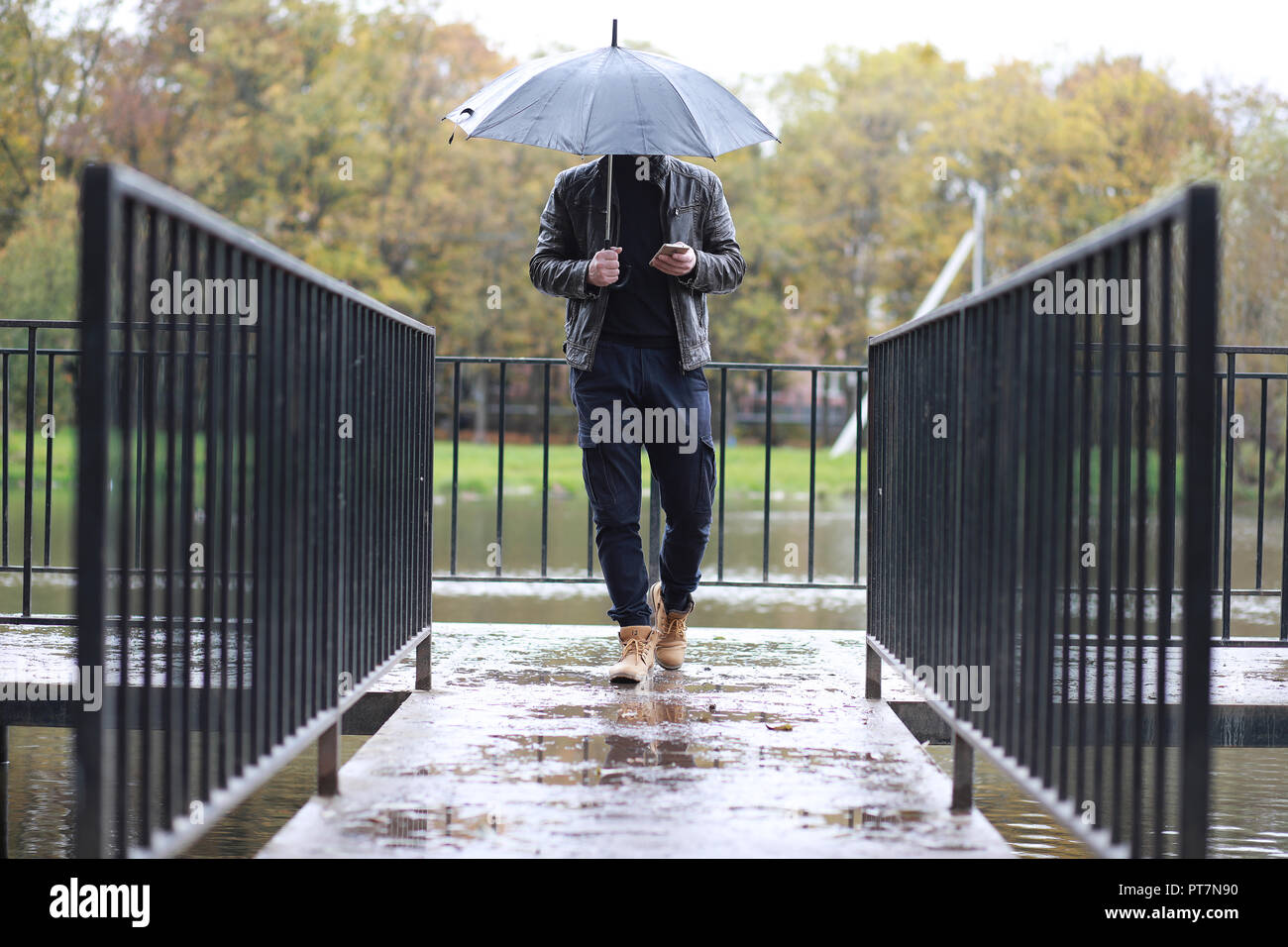 Autumn background in the park Stock Photo - Alamy