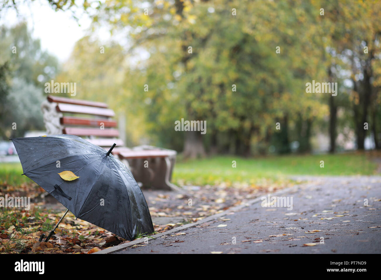 Autumn background in the park Stock Photo - Alamy