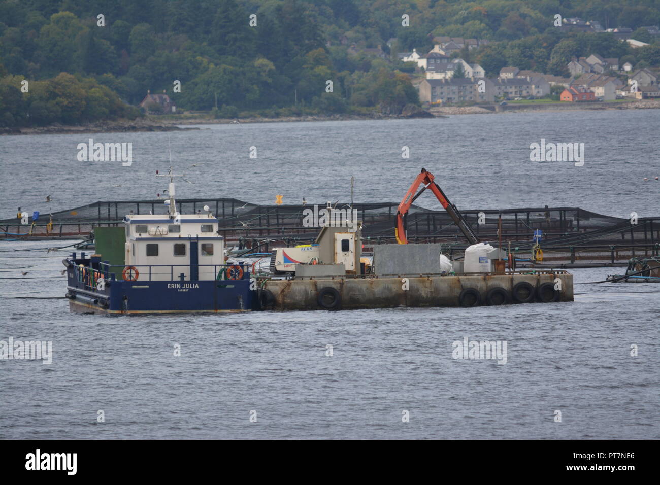 Fish farm Loch Lomond with ship boat and small pier with fish nets ...