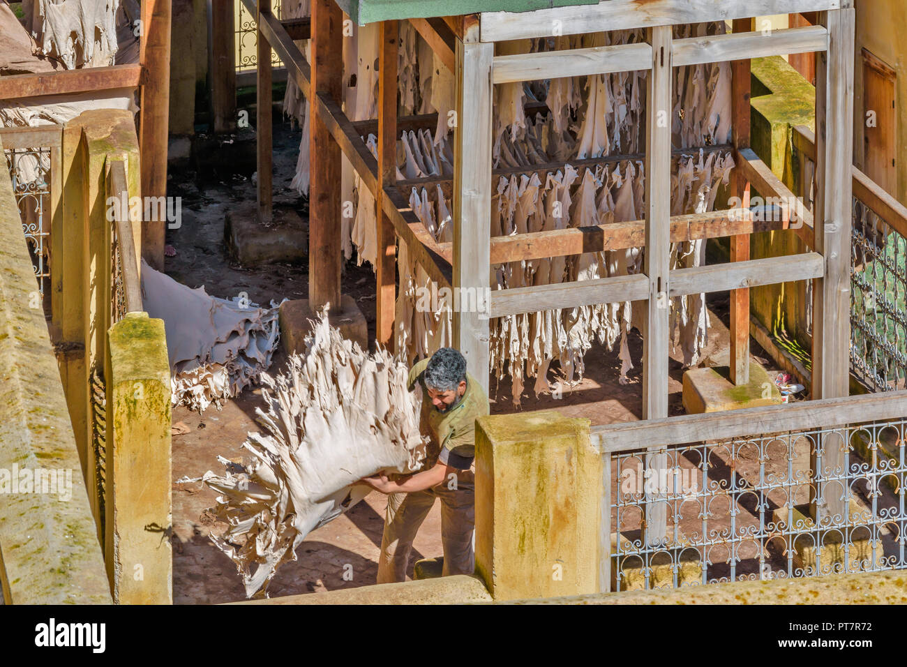 Animal hides ancient hi-res stock photography and images - Alamy