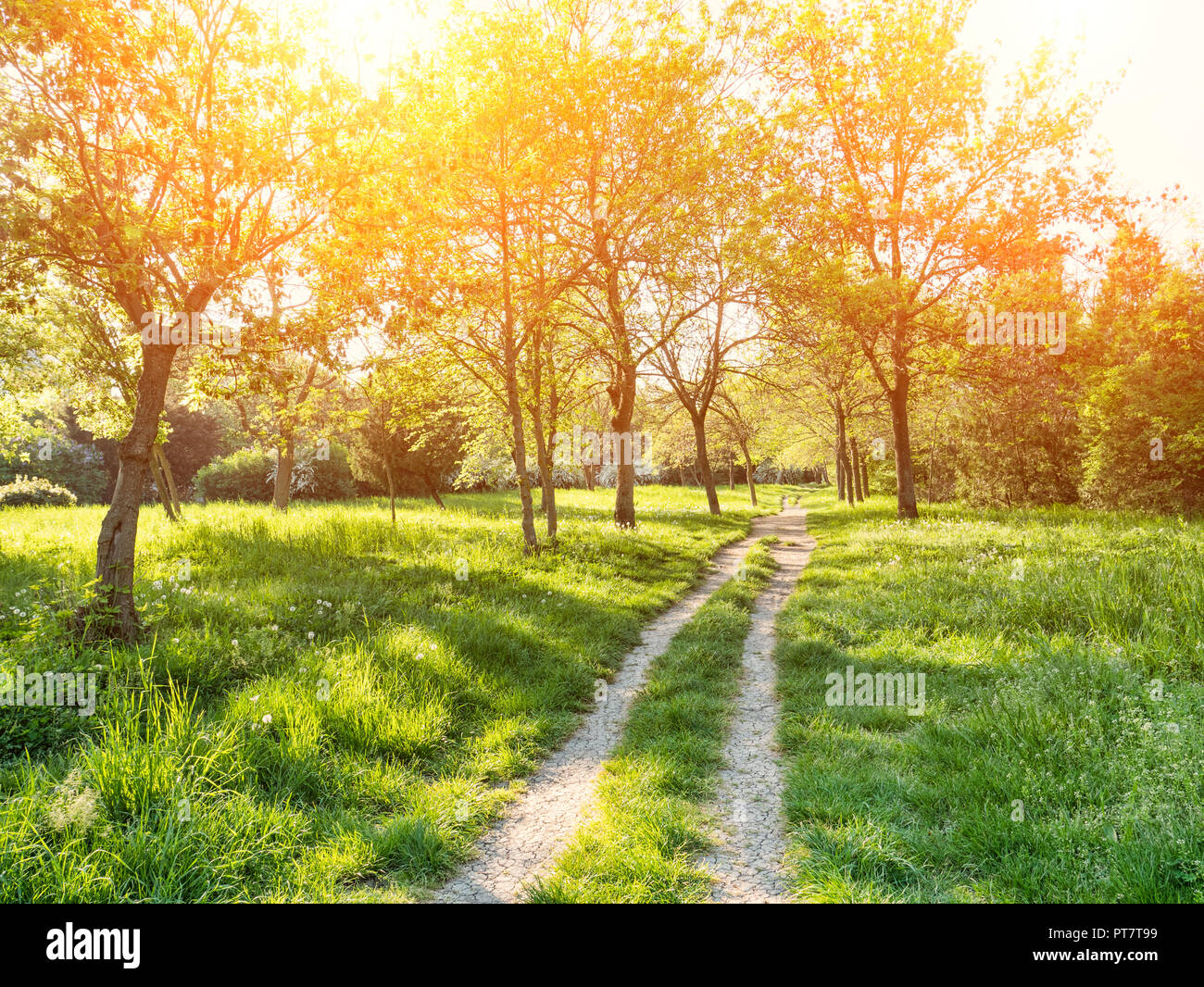 Beautiful backyard landscape design hi-res stock photography and images ...