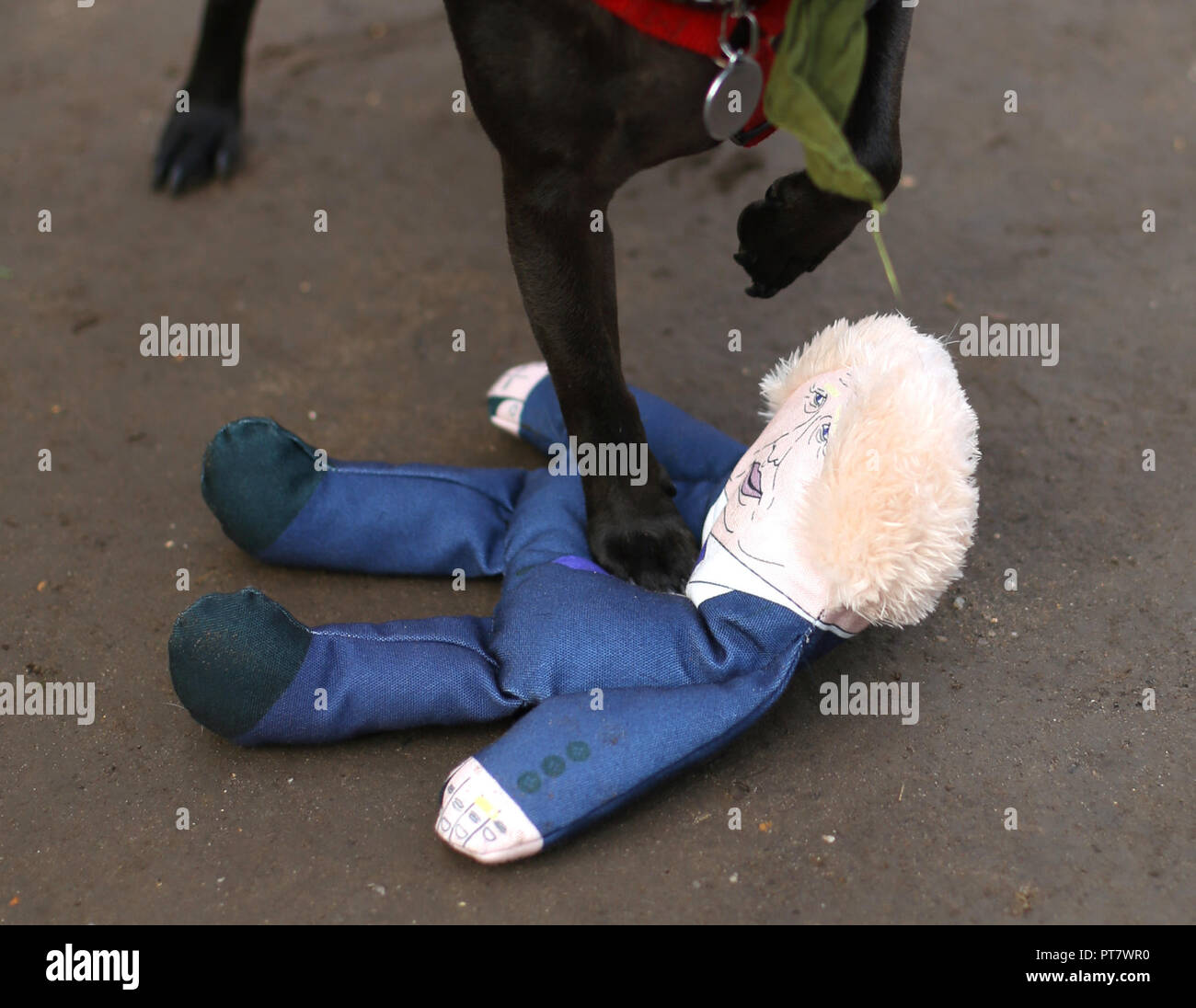 Boris the dog toy hi-res stock photography and images - Alamy