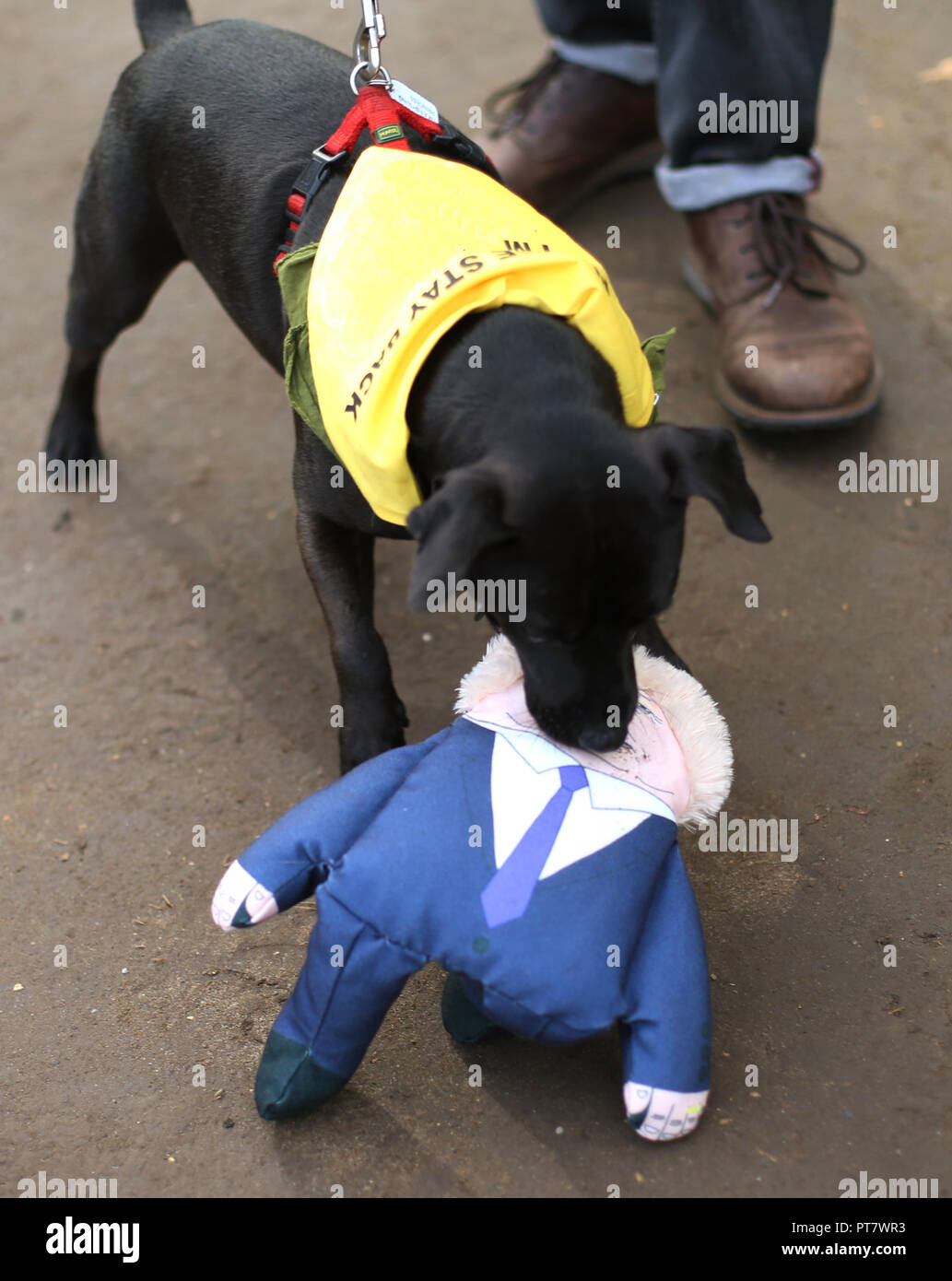 Its boris toy doll hi-res stock photography and images - Alamy