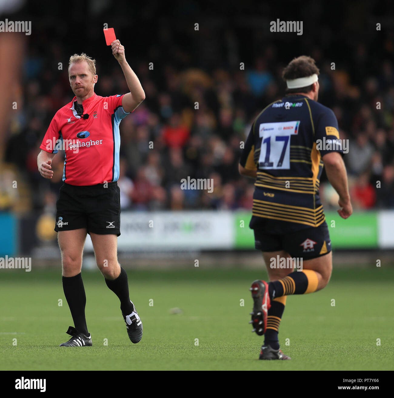 Wayne barnes ryan hi-res stock photography and images - Alamy