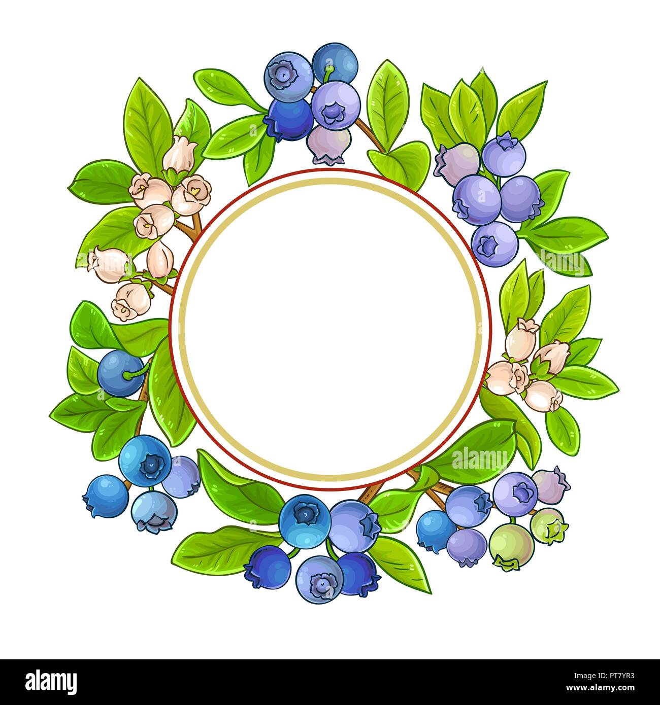 blueberry vector frame on white background Stock Vector Image & Art - Alamy
