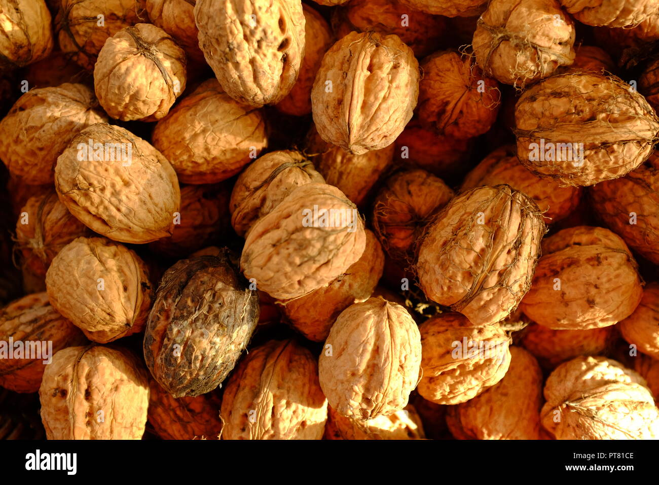 Natural walnut background pattern texture Walnuts in shell background ...