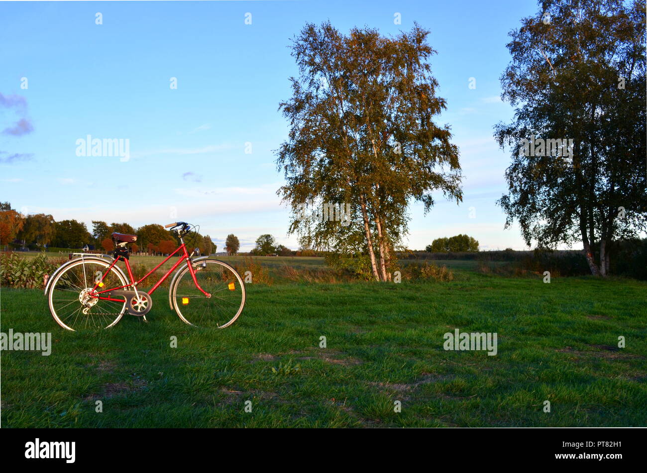 Red bicycle standing on green lush meadows, next to trees Stock Photo ...
