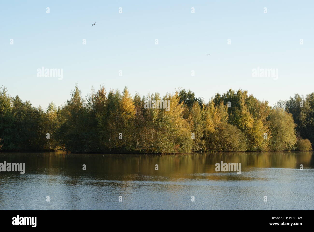 Beautiful park in Bremen with lake and green gras and trees perfect ...