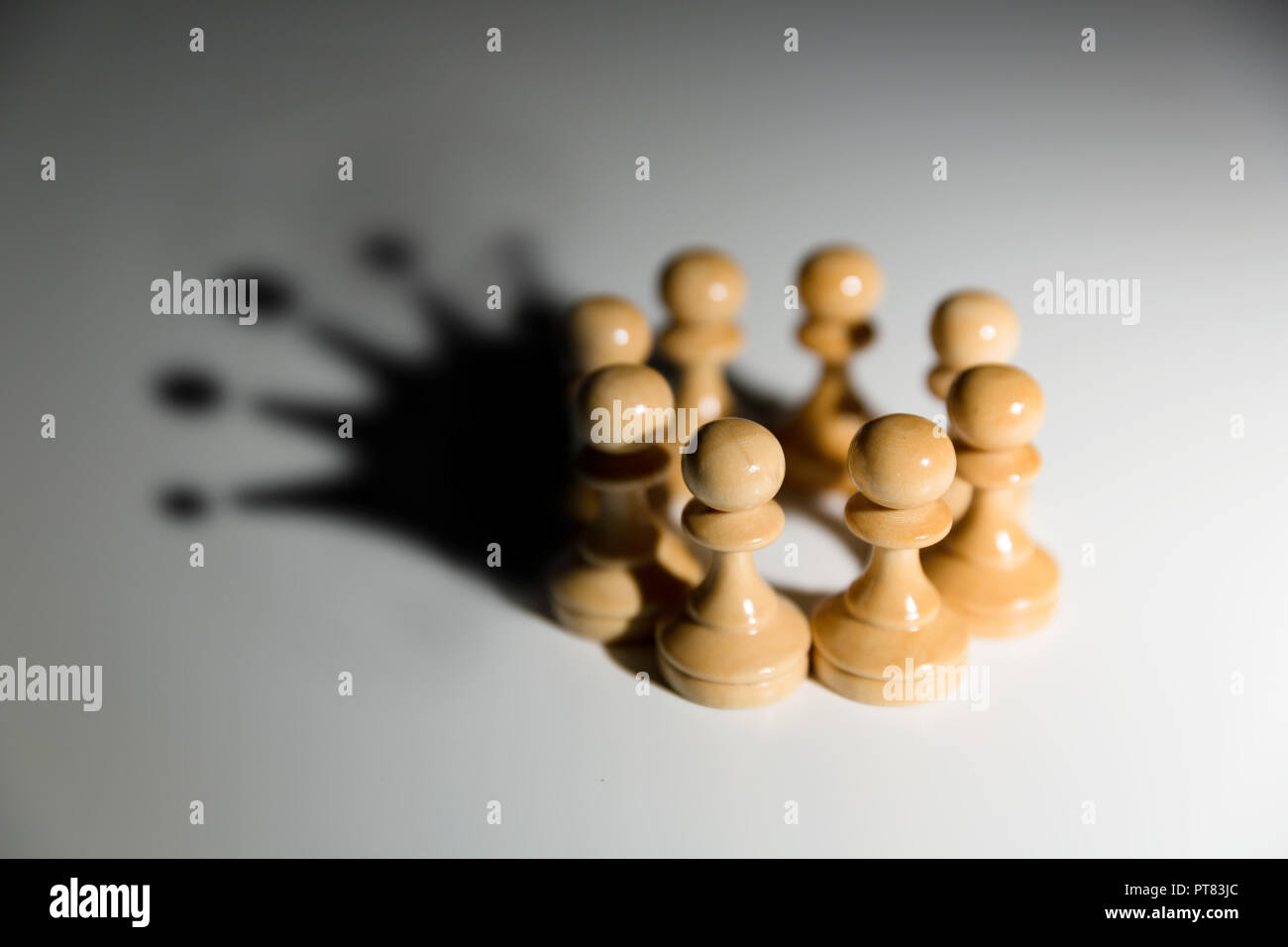 Pawns rounded in circle with a crown in shadow. Teamwork and leadership ...