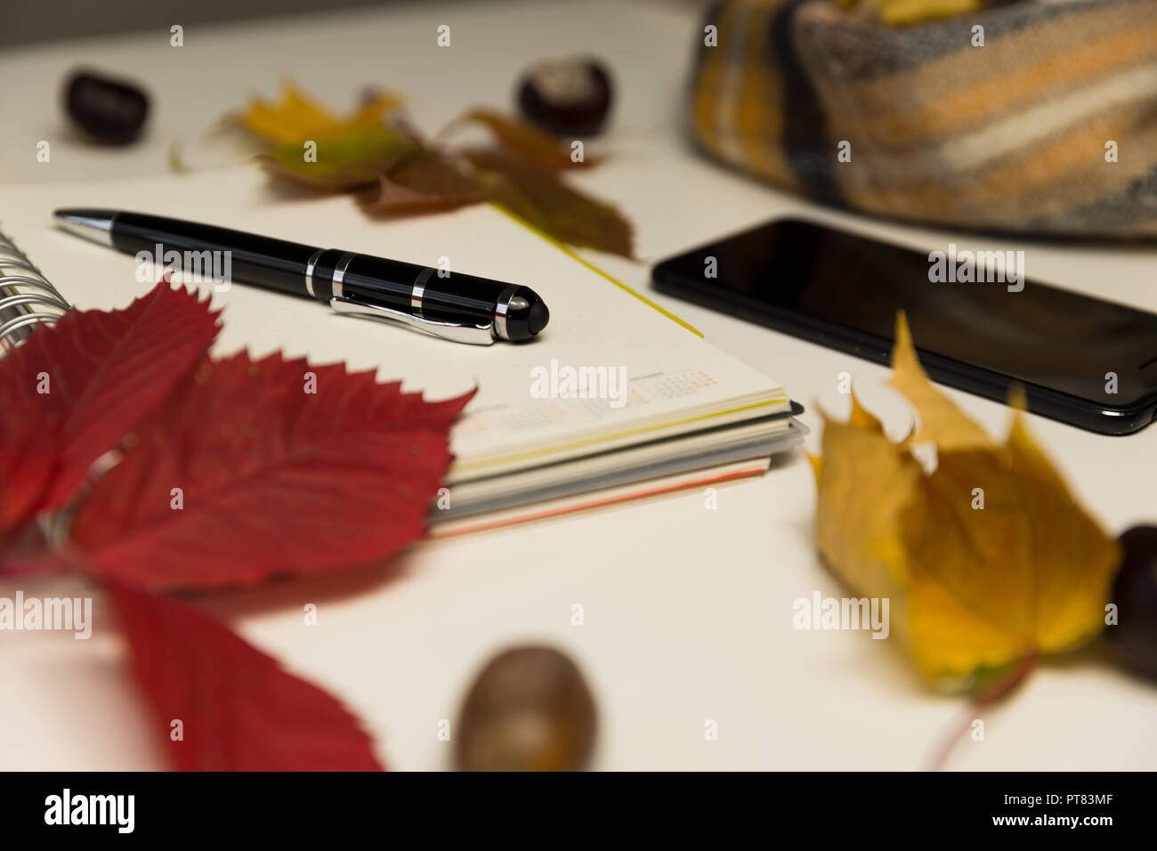 Writing in leaves hi-res stock photography and images - Alamy