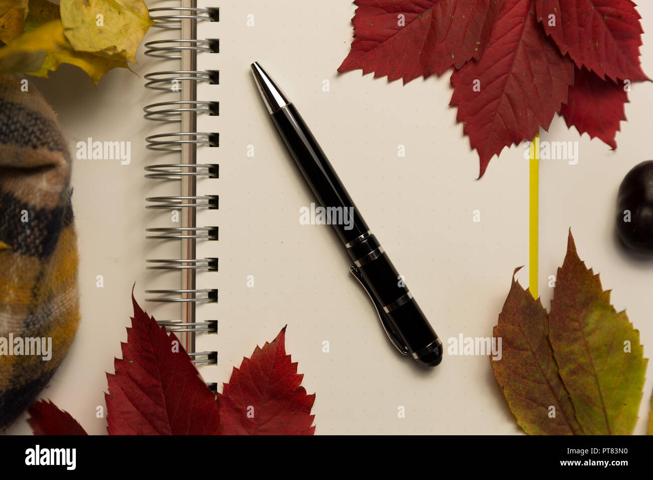 Writing-book and autumn leaves. Concept for Back to school Stock Photo ...