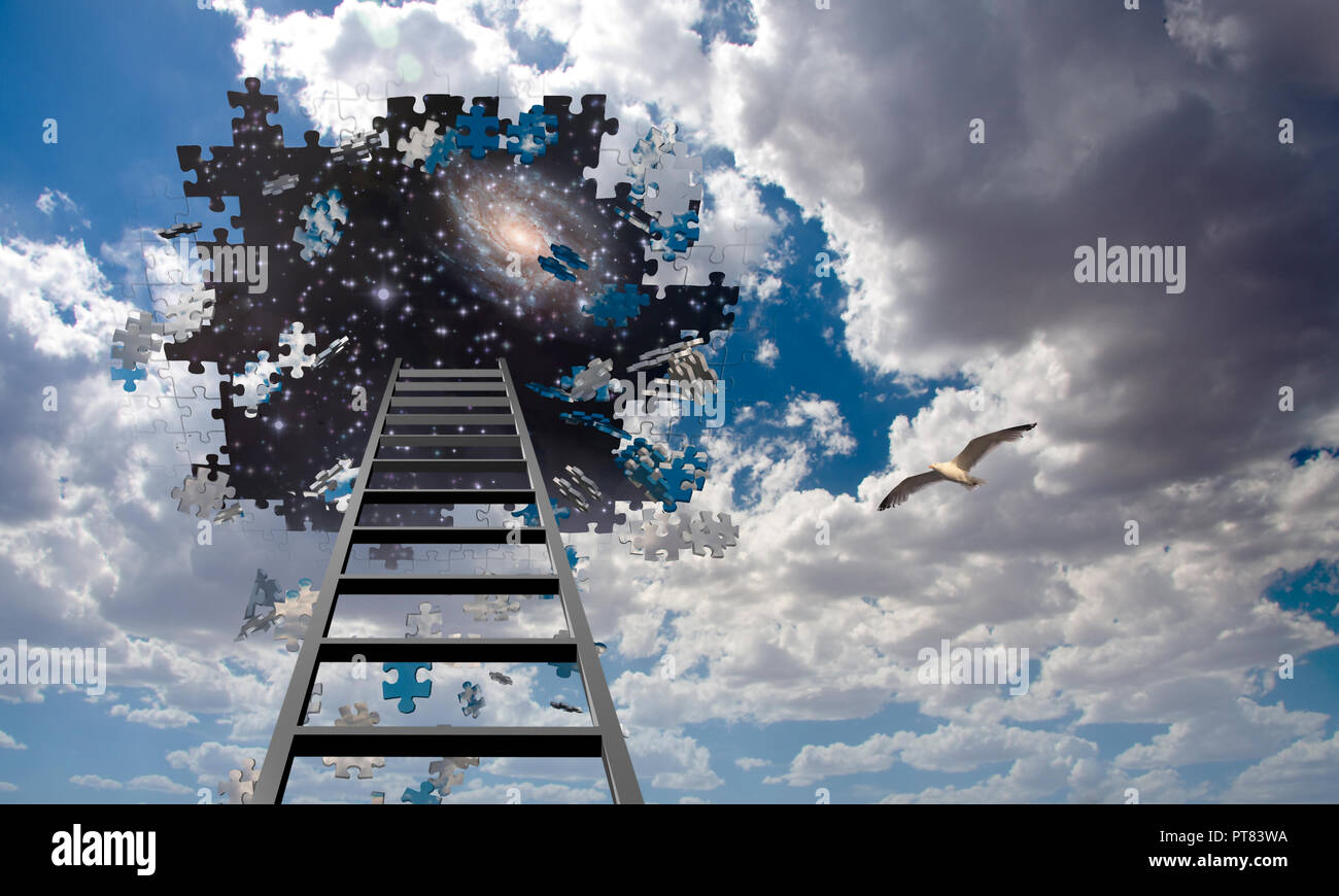 Puzzle Piece Hole in Sky, Falling Pieces and Ladder. Seagull in flight ...