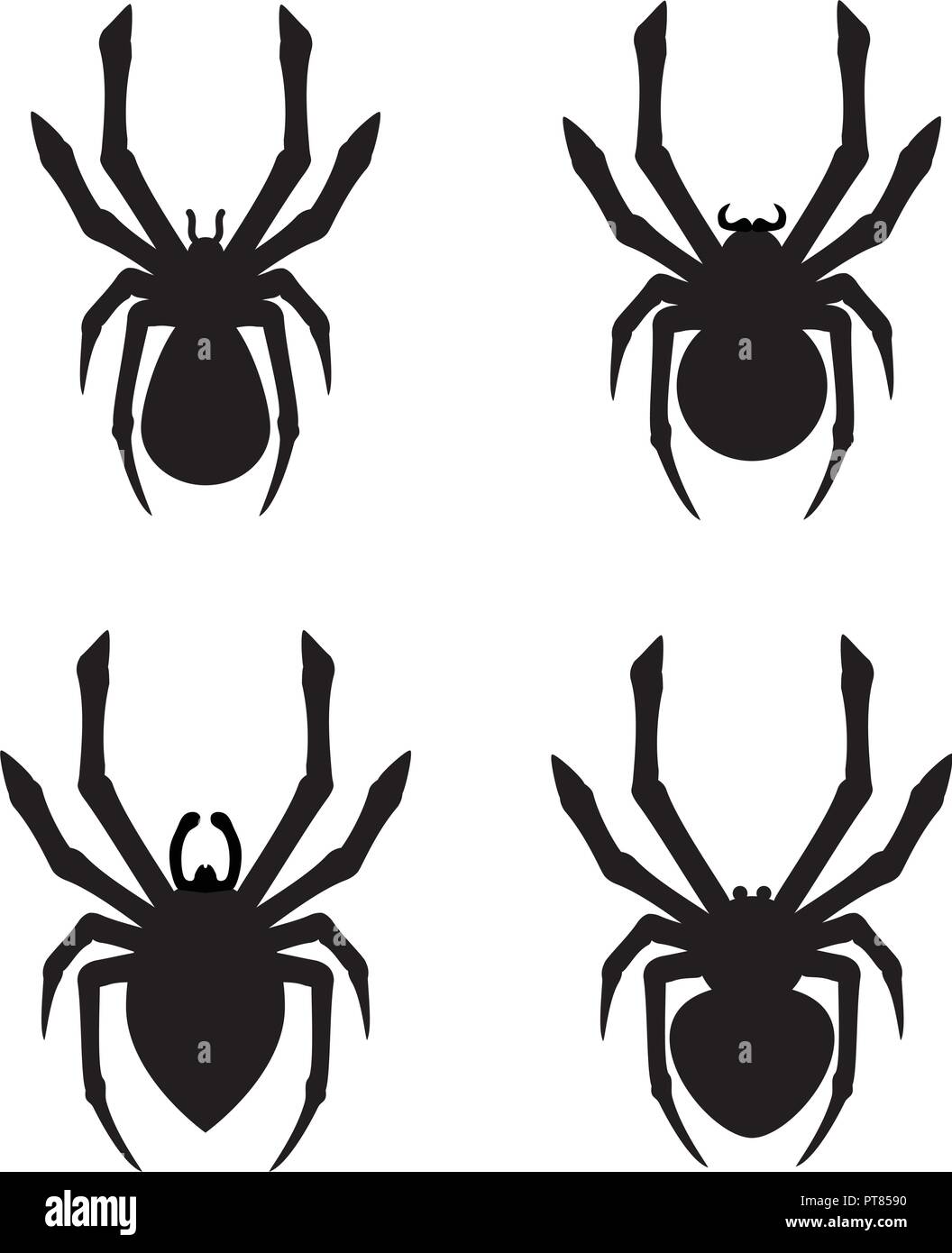 Long leg spiders Stock Vector Images - Alamy