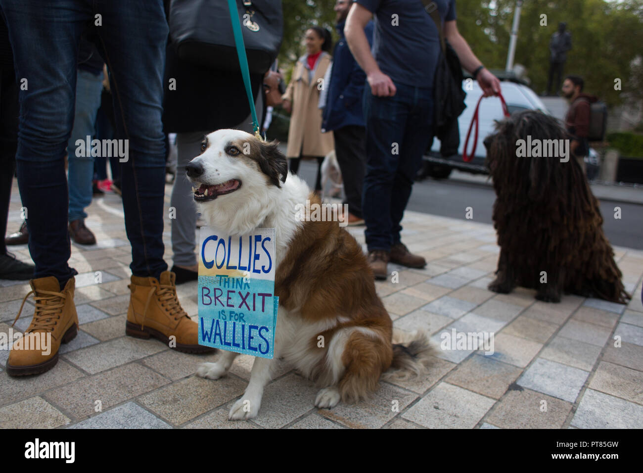 London, UK. 07th Oct, 2018. Wooferendum dog march: Dogs against Brexit ...
