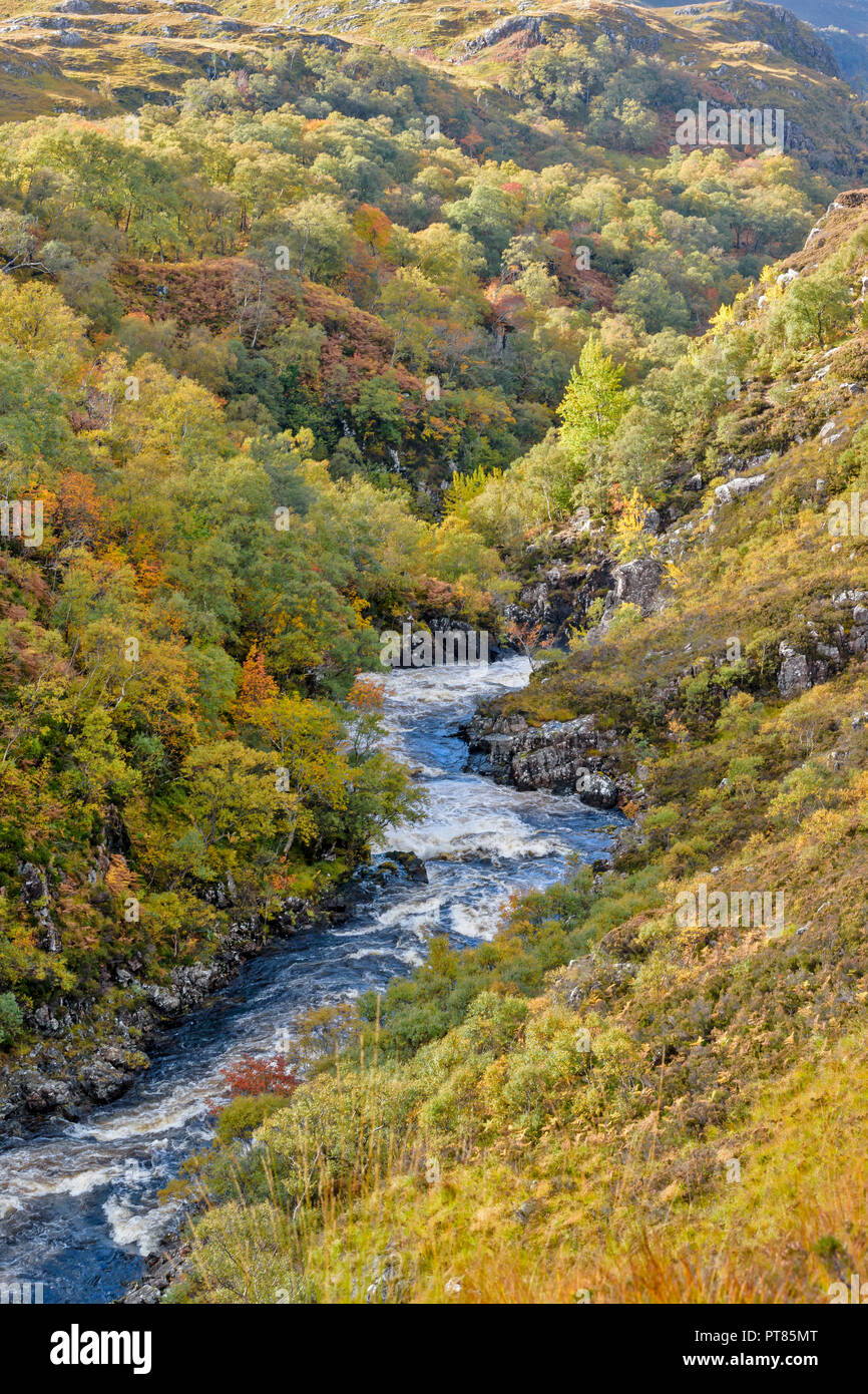 SUILVEN AND RIVER KIRKAIG SUTHERLAND SCOTLAND RIVER AND TREE LINED ...