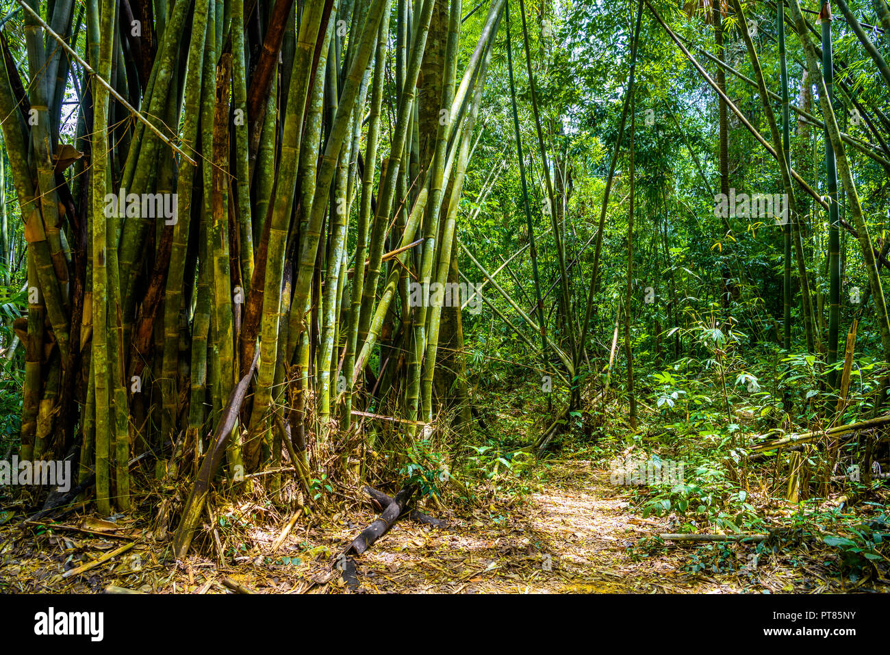 Nga symbol hi-res stock photography and images - Alamy