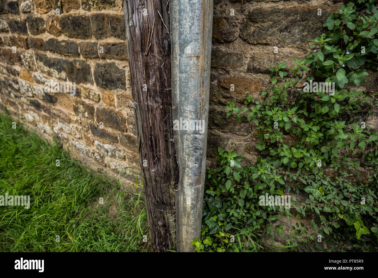 Damaged telephone pole hi-res stock photography and images - Alamy