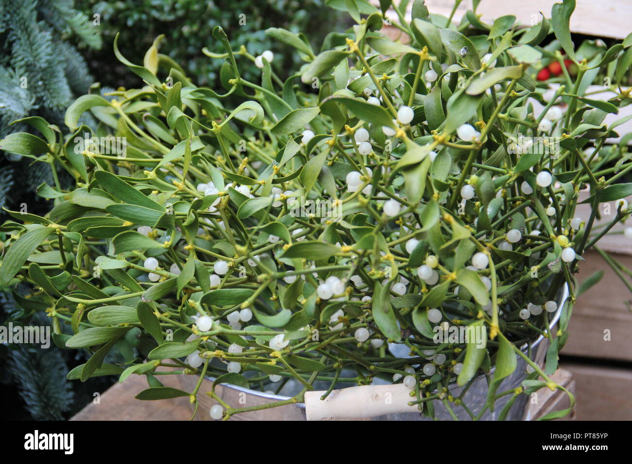 Customs and traditions hi-res stock photography and images - Alamy