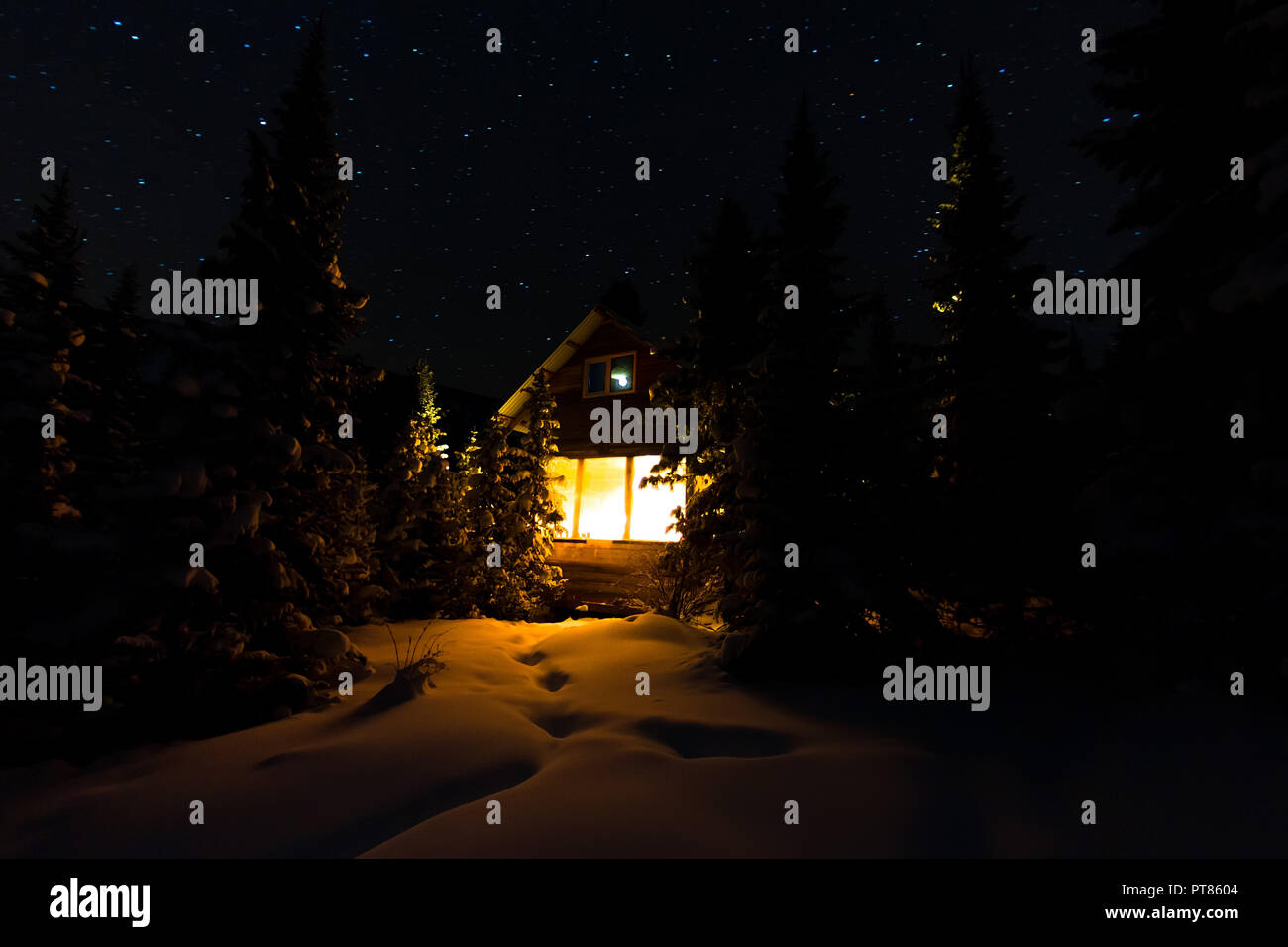Light from the window of a forest hut under the night sky of the milky ...