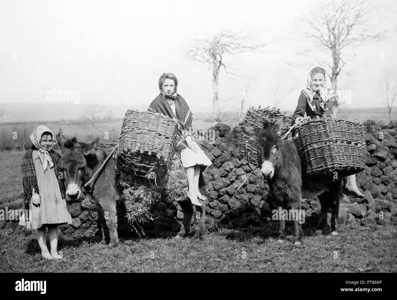Carrying turf, Co Mayo, West of Ireland, early 1900s Stock Photo - Alamy