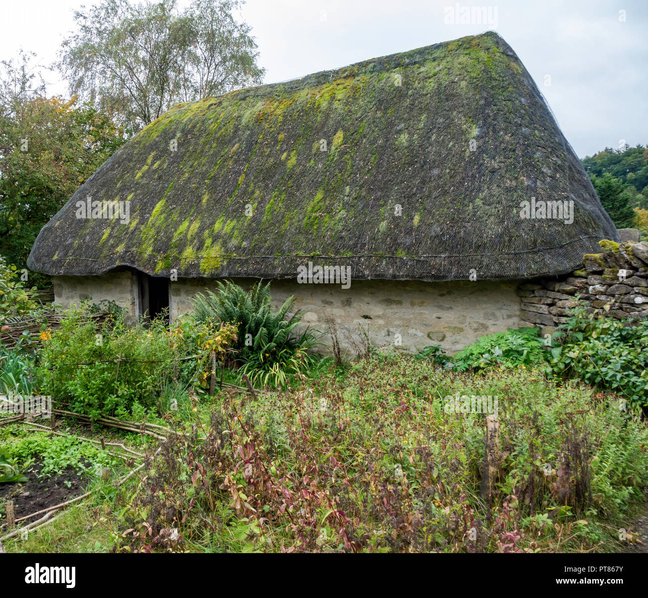 Crofter's hi-res stock photography and images - Alamy