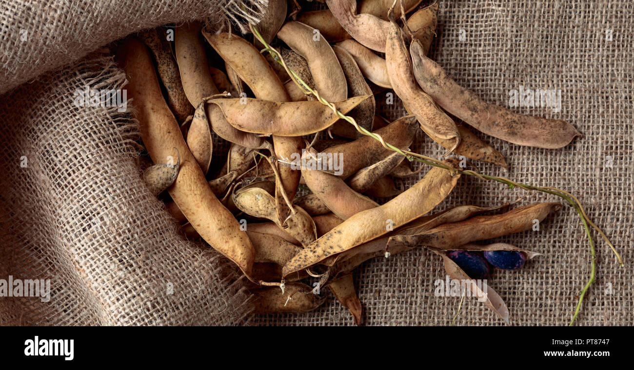 Dry bean pods, healthy organic food. Top view, copy space for your text ...