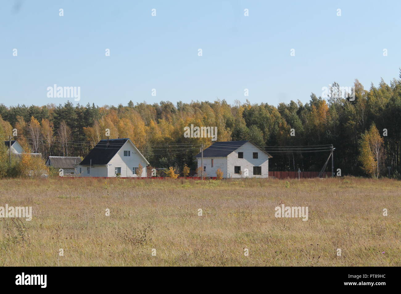beautiful bright autumn landscape in country field calm and peaceful ...
