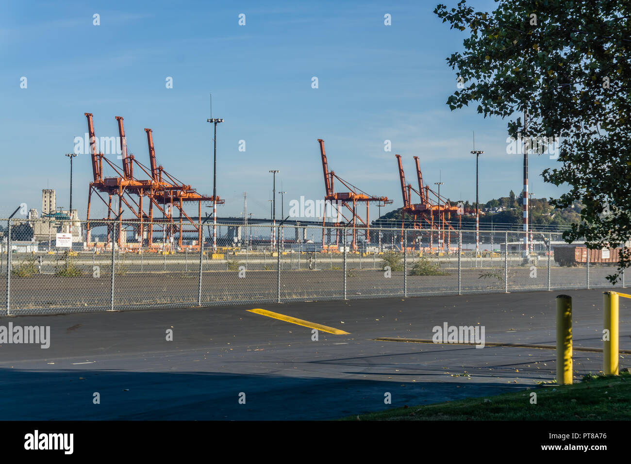 A view of orange cranes at the Port of Seattle Stock Photo - Alamy