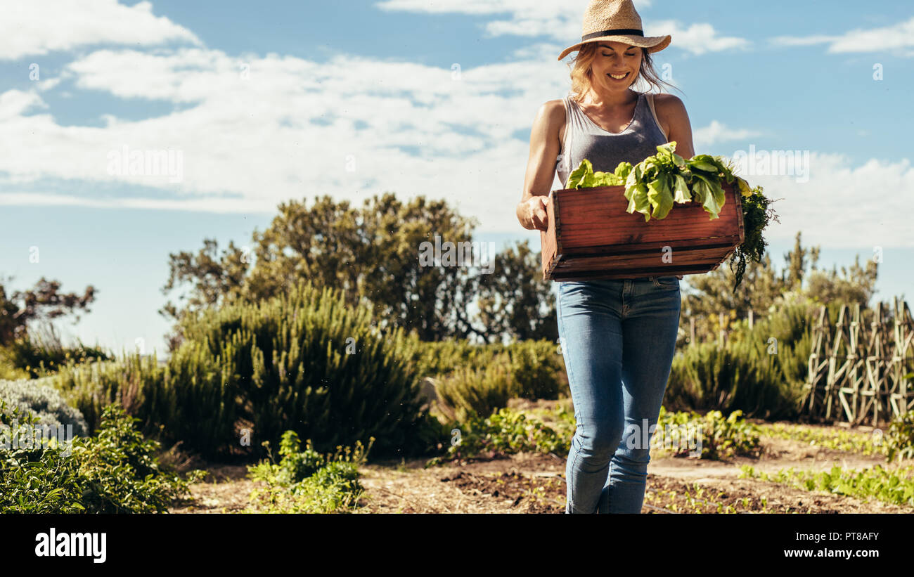 Happy female gardener carrying crate with freshly harvested vegetables ...