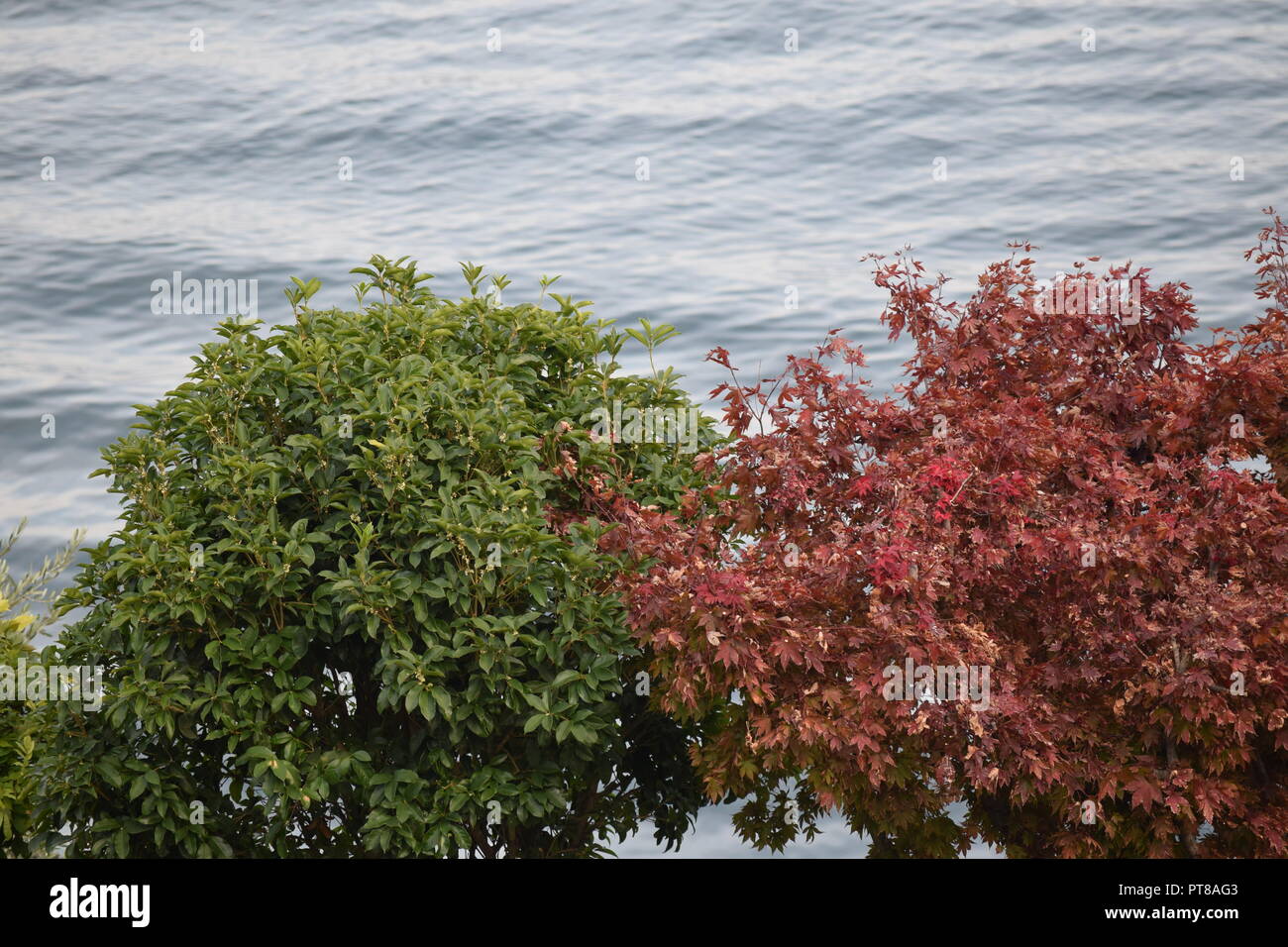 Lake como italy autumn hi-res stock photography and images - Alamy