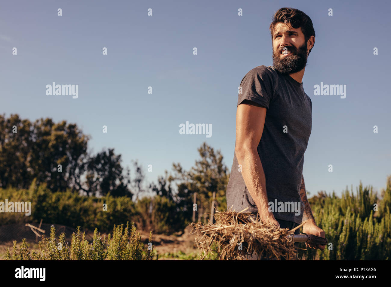 Farmer stacking hay hi-res stock photography and images - Alamy