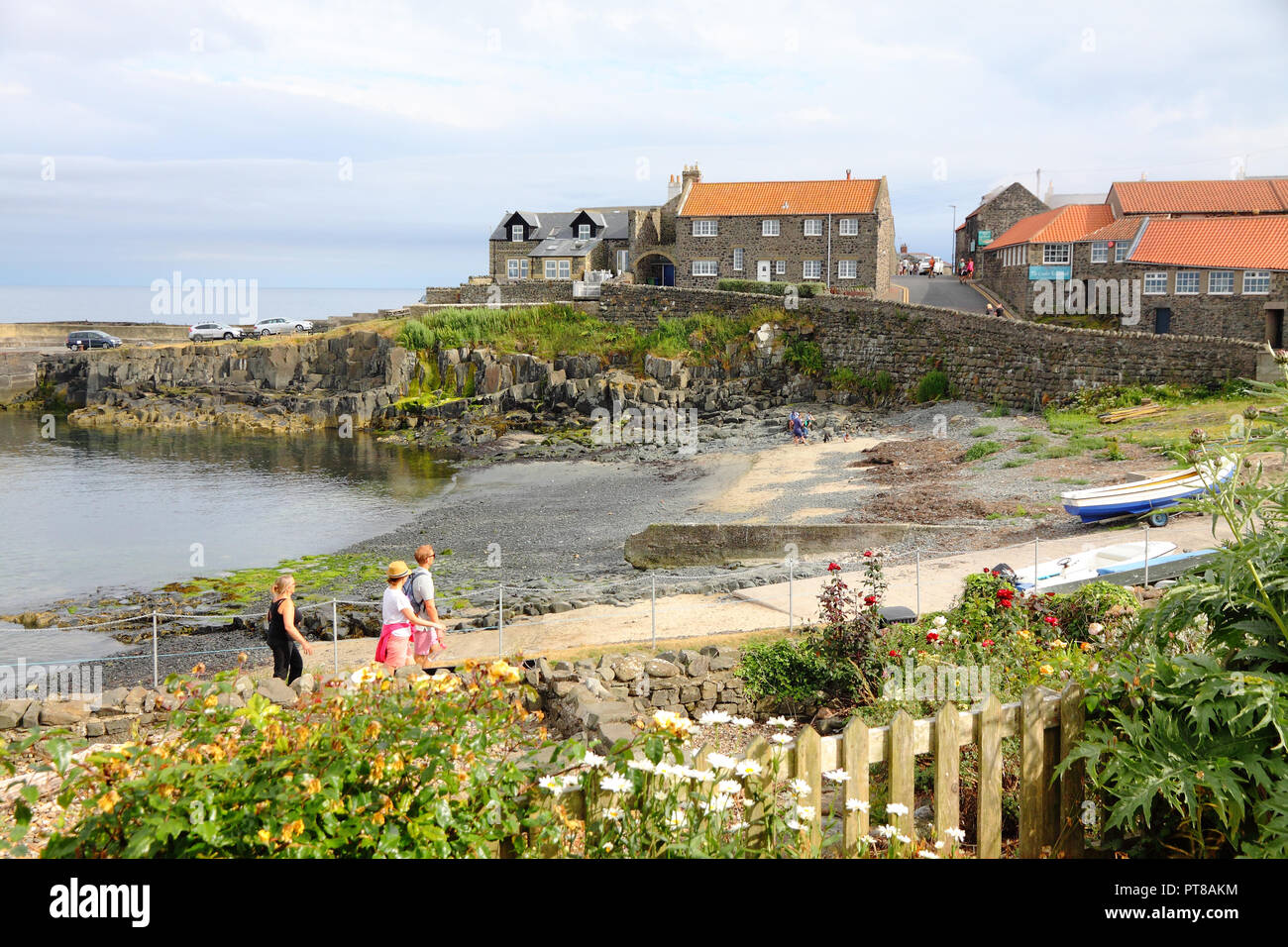 Craster Harbour, Northumberland, England Stock Photo - Alamy