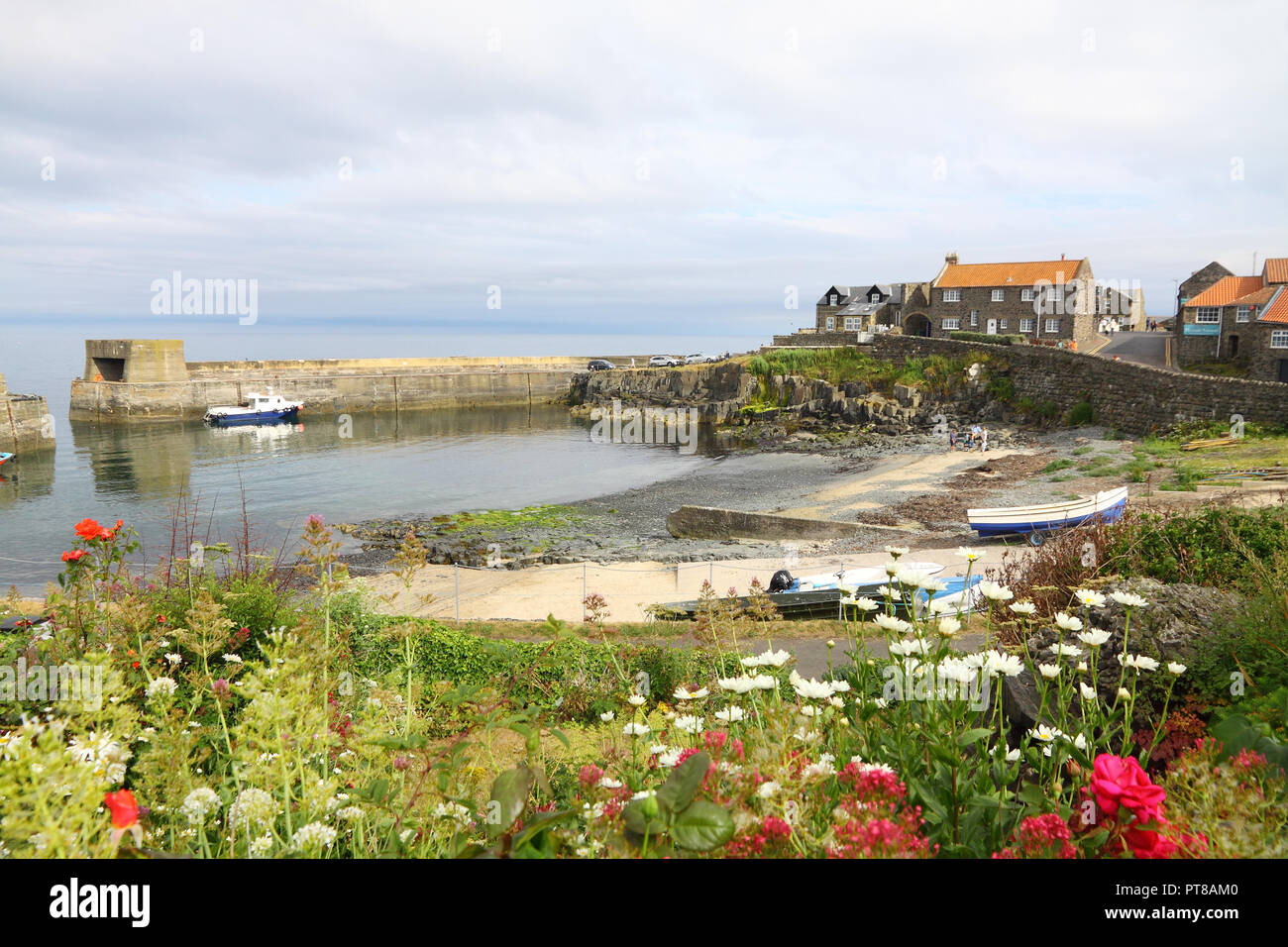 Craster Harbour, Northumberland, England Stock Photo - Alamy