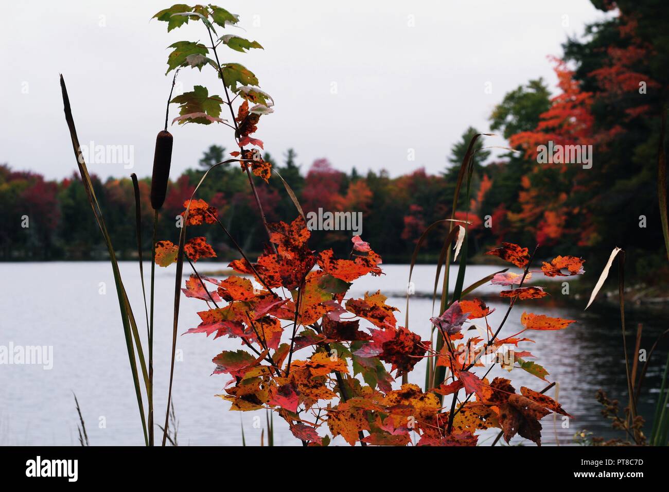 Unity Maine High Resolution Stock Photography and Images - Alamy