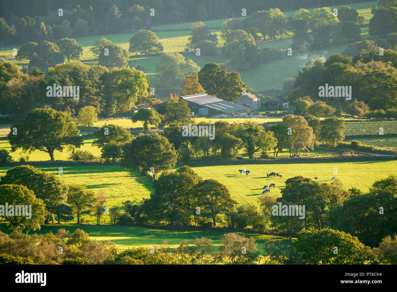 Uk farms wildlife hi-res stock photography and images - Alamy