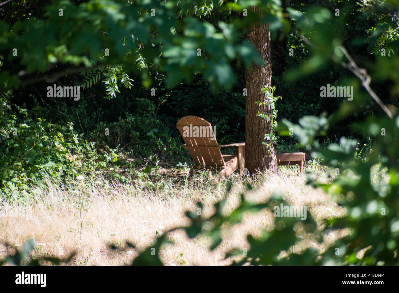 A single unoccupied chair in the woods Stock Photo - Alamy