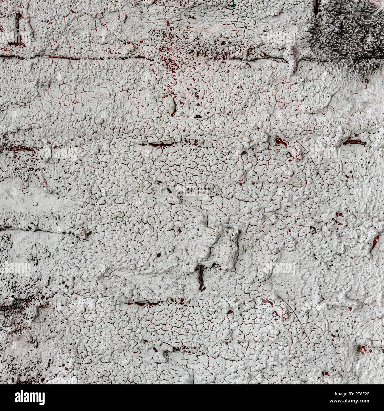 Gray mounting paper hi-res stock photography and images - Alamy