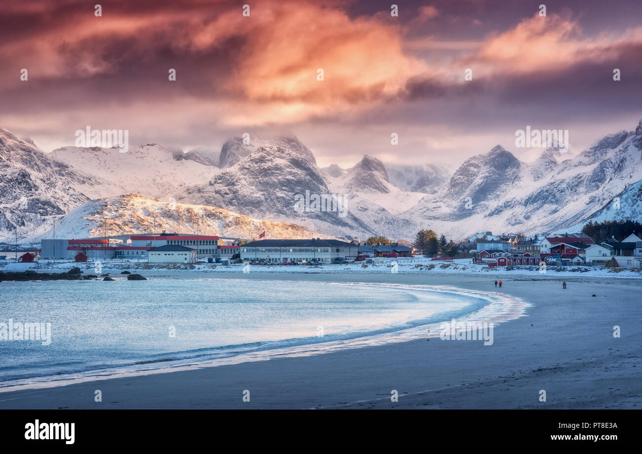 Nordic sandy beach with blue sea in winter at sunset in Lofoten islands ...