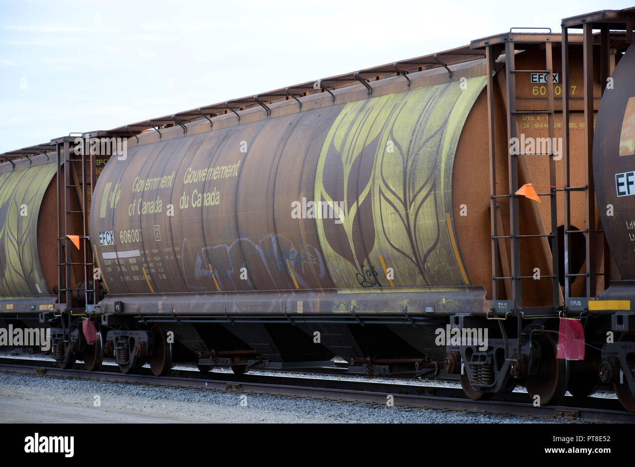 Nicknamed 'Trudeau hoppers, a train wagon for grain transportation made ...