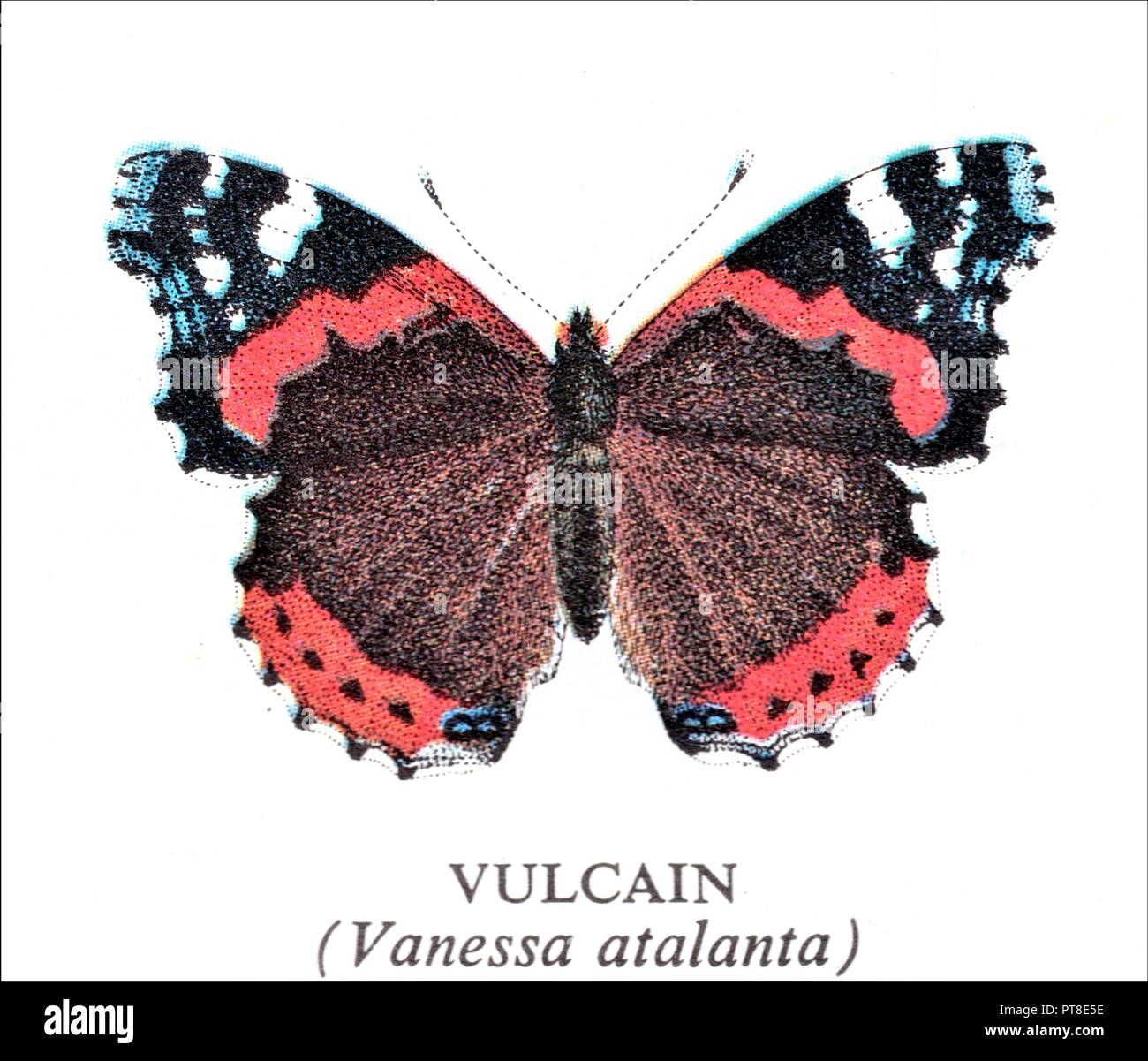 Vulcain hi-res stock photography and images - Alamy