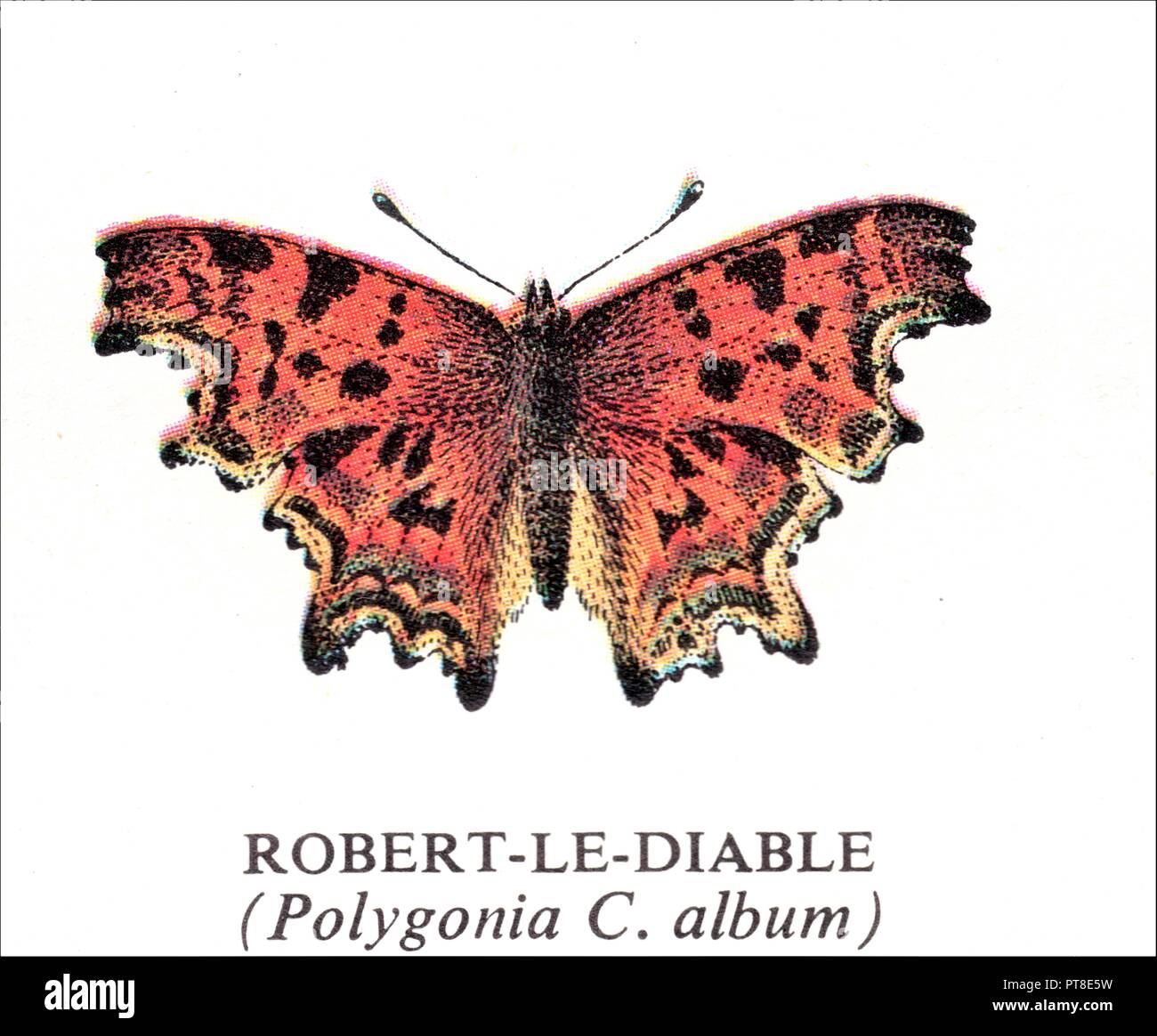 Robert le diable hi-res stock photography and images - Alamy