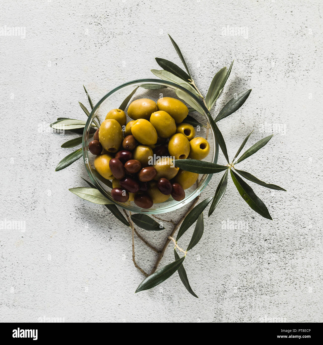 assortment of olives in a transparent bowl and a branch of olive tree ...