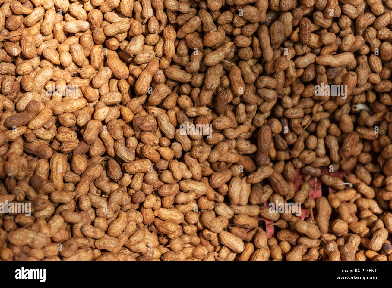 Raw unpeled groundnuts - peanuts freshly harvested Stock Photo - Alamy