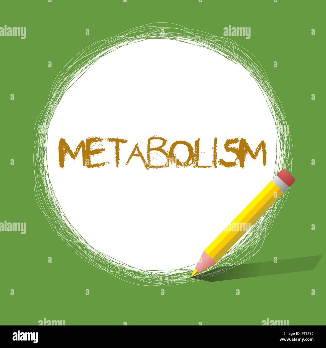 Metabolism processes hi-res stock photography and images - Alamy